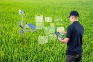 Crop Monitoring – Earth Scan Systems
